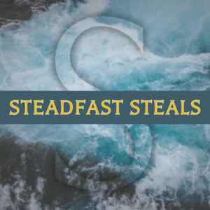 Steadfast Steals | eBay Stores