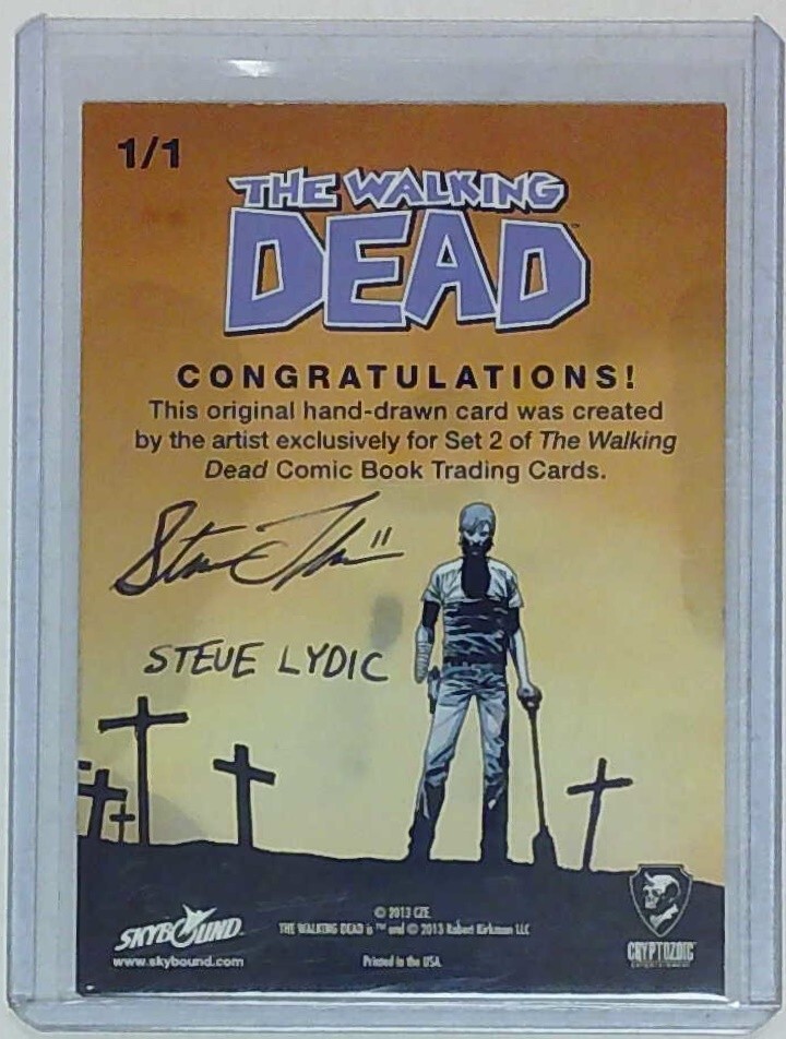 WALKING DEAD COMIC SKETCH CARDS SET 2: CARL GRIMES ARTIST STEVE LYDIC ...