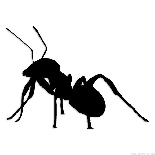 Ant - Decal Sticker - Multiple Colors & Sizes - ebn6794 | eBay