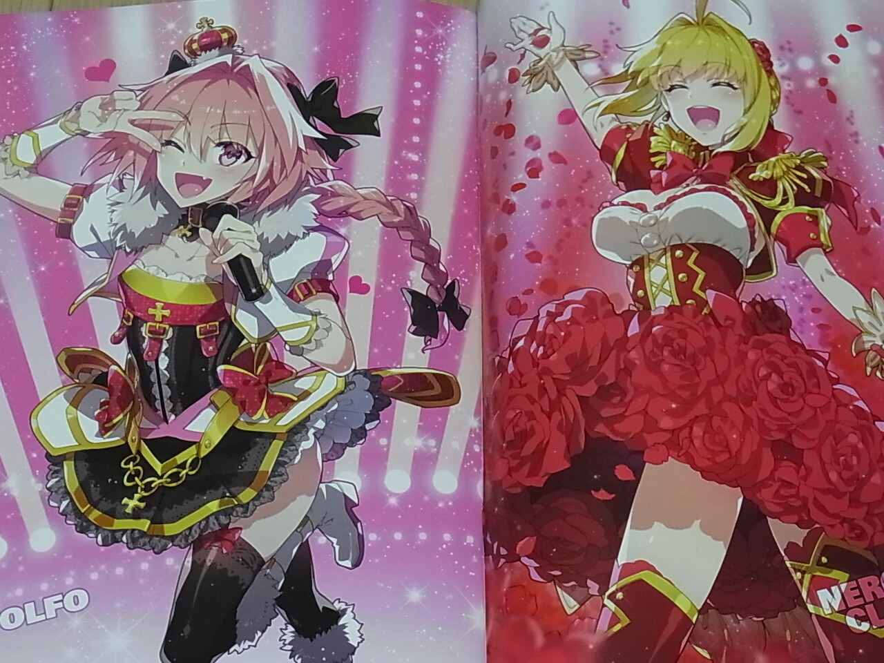 ReDrop Fate FGO Color Fan Art Book FGO Illustrations3 | eBay