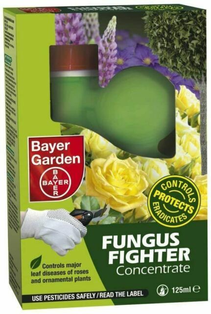 Bayer Garden Fungus Fighter Concentrate - 125ml for sale online | eBay UK