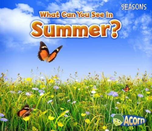 What Can You See in Summer (Seasons) - Paperback By Smith, Sian - GOOD ...