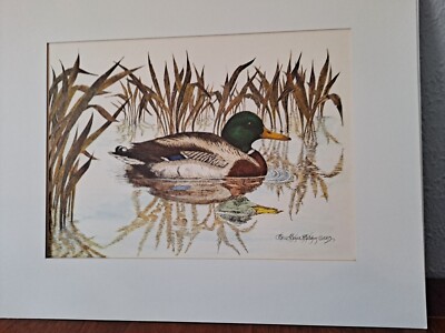 Mallard Drake Print, Teri Renee Blehm. 12.5x18. 1983 | eBay