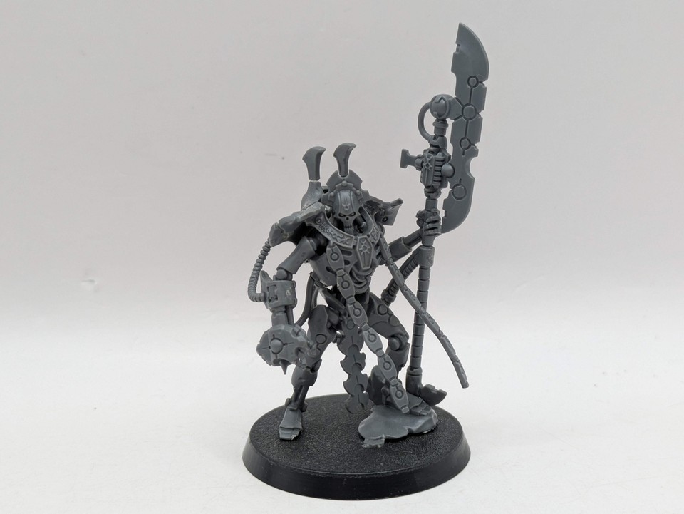 Warhammer 40k: Necrons Indomitus Overlord and Royal Warden (BA166 ...