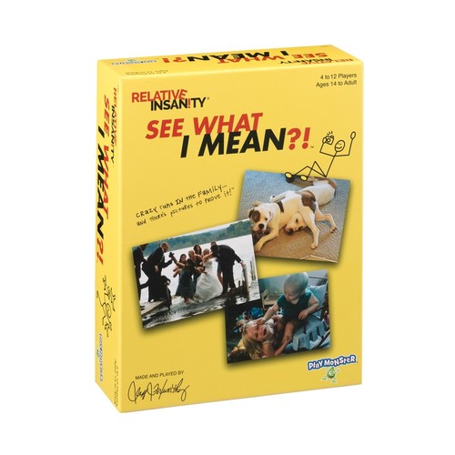 PlayMonster Board Game Relative Insanity - See What I Mean?! Box VG+/EX ...
