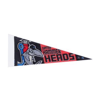 1 pack of 10 BCW 12" x 30" Pennant Topload Holders | eBay
