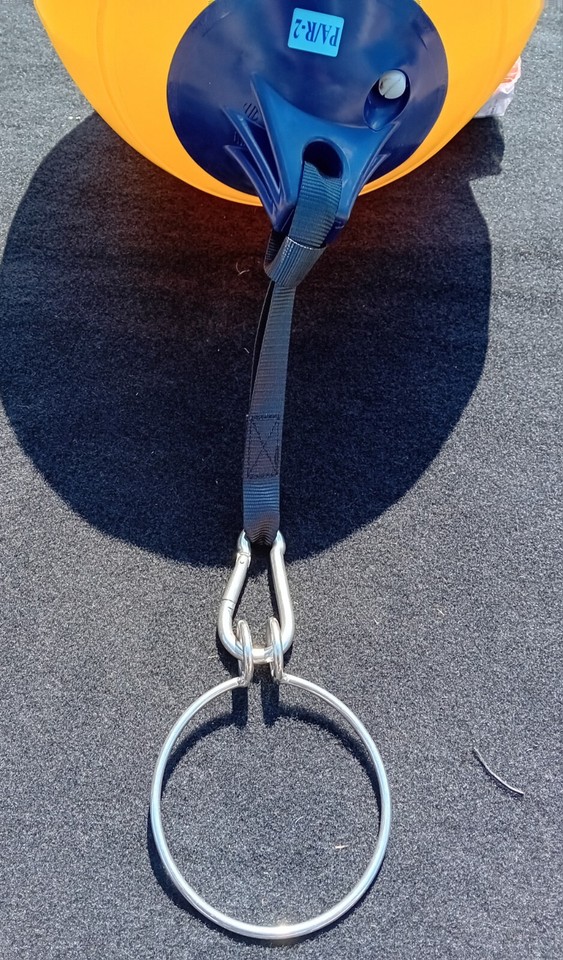 Anchor Ring - Alderney Ring 316 Stainless Steel,316 Carabiner 10mm,and ...