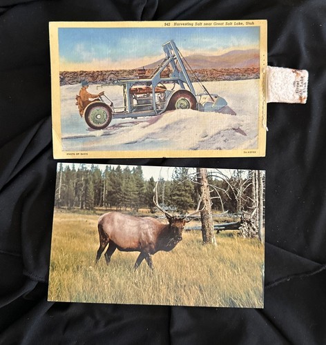 Vintage Salt Lake City Utah Post Cards Lot Of 2 | eBay