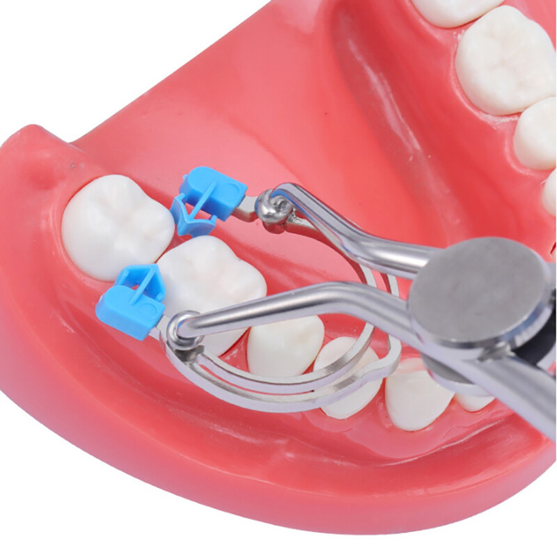 Dental Matrix Sectional Contoured Matrices Clamps Wedges Metal Spring ...