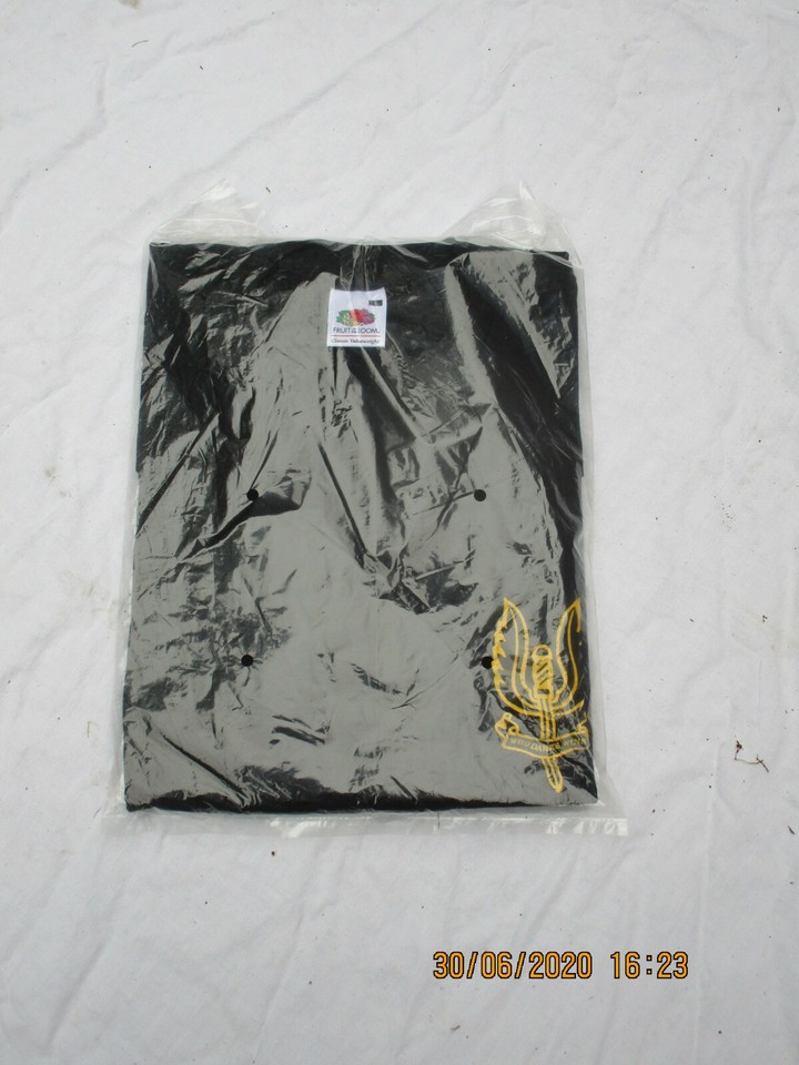T-Shirt: SAS Special Air Service Regiment,gedrucktes Emblem, Gr. XX ...