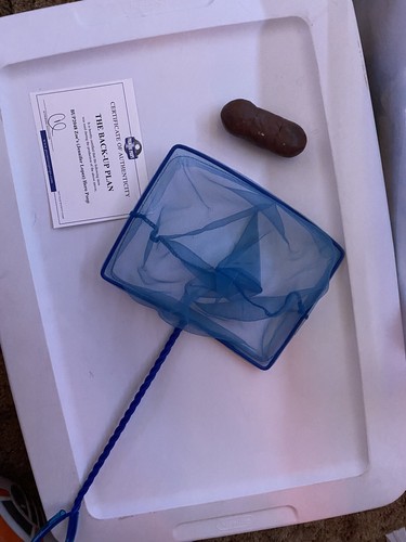 Jennifer Lopez Screen Used Poop From “The Back Up Plan” With COA. | eBay