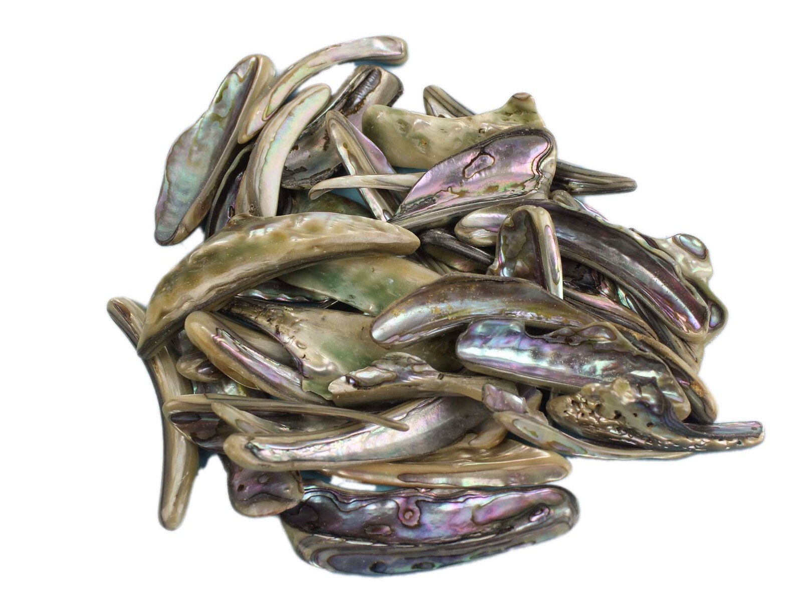 1/2 lb of Large Natural Green Mexican Abalone Shell Lips (221-GTLNAL-AS ...