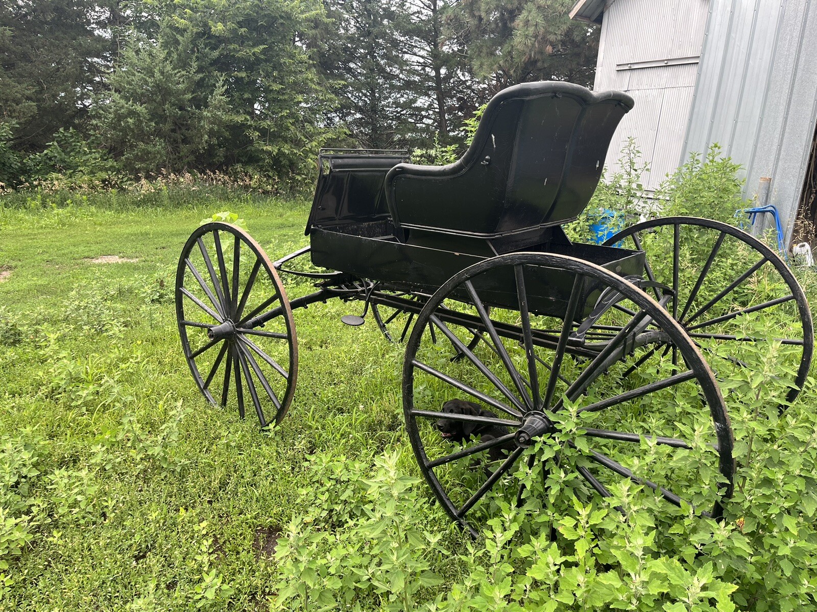 VINTAGE ANTIQUE DOCTOR'S BUGGY - MADE BY Wisconsin Carriage Company | eBay