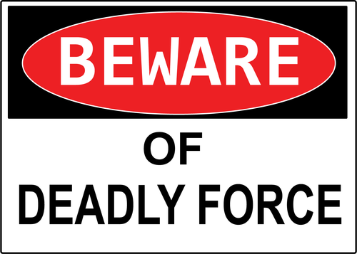 BEWARE OF DEADLY FORCE | Adhesive Vinyl Sign Decal | eBay