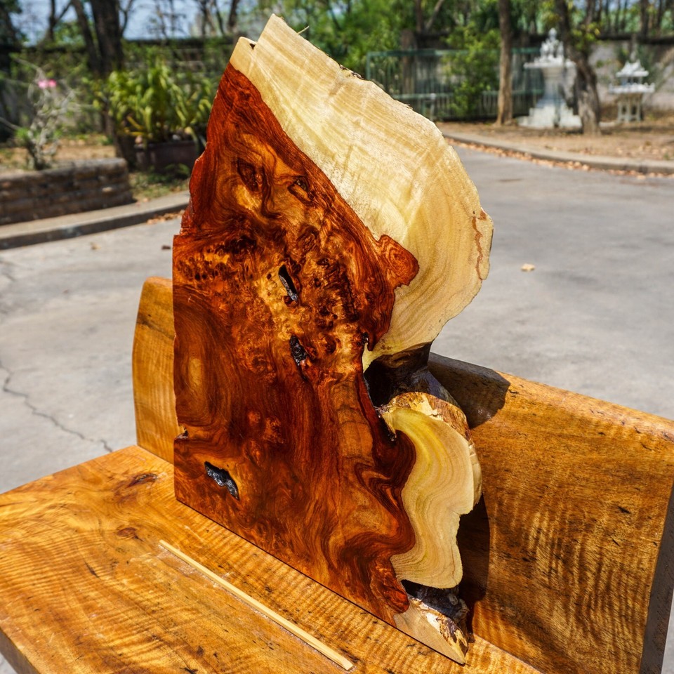 Rare! AMBOYNA BURL LUMBER Live Edge Natural Slab Wood Epoxy Resin DIY ...