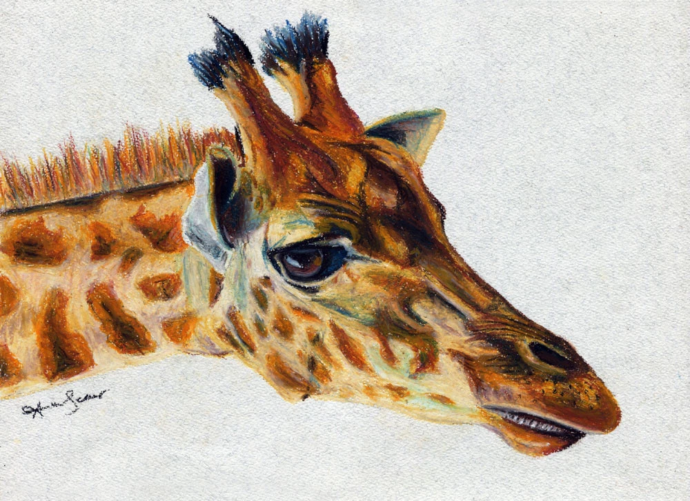 Oil Pastel Paintings Animals