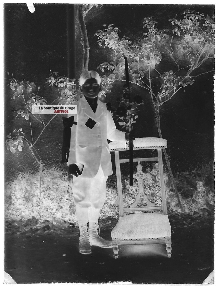 Plate Glass Photo Antique Negative Black and White 3 1/2x4 11/16in Hen ...