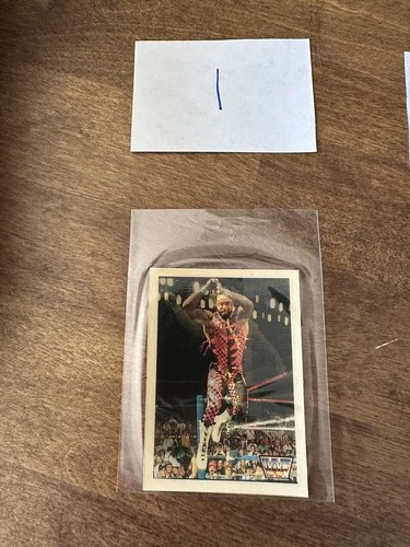 WWF WWE 1990 Hasbro Hologram Wrestling Mini Card Macho King Randy ...