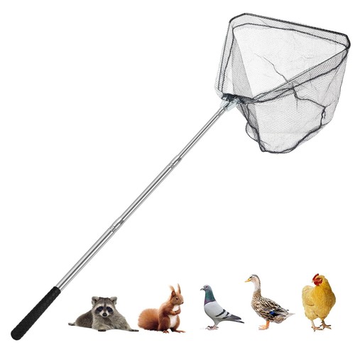 Chicken Catching Net, Animal net with Extendable 46 Inch Stainless ...