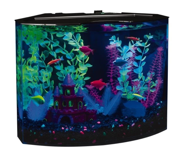 Glowing Fish Tank