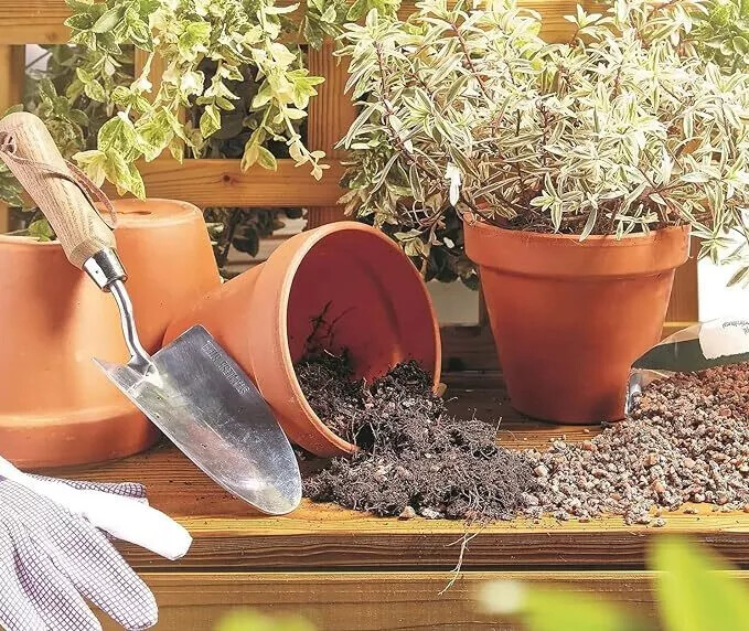 COARSE GRIT RHS Horticultural Lime Free Washed Drainage Rockery Compost ...