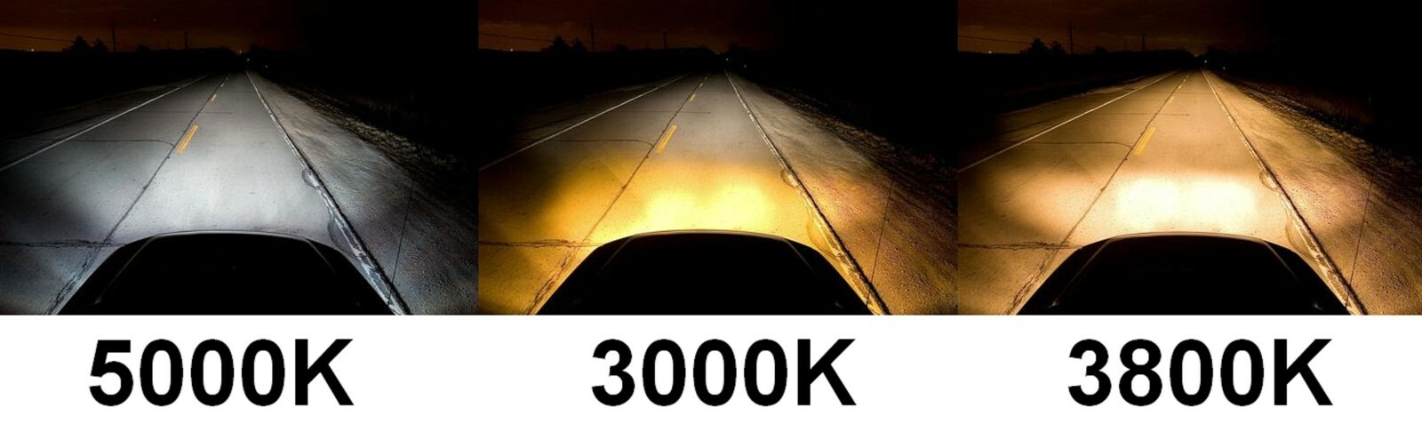 Rally H7 100W 3800K Stock Two Bulbs Head Light High Beam Replacement ...