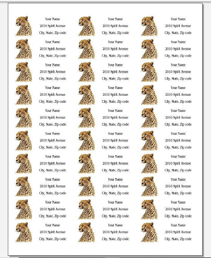 150 Cheetah Wild Big Cat Mailing Return Address Labels Personalized 1 x ...