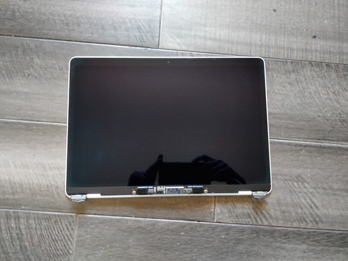 Genuine Apple macbook Air 13 inch, A2179, 2020, LCD Screen assembly ...