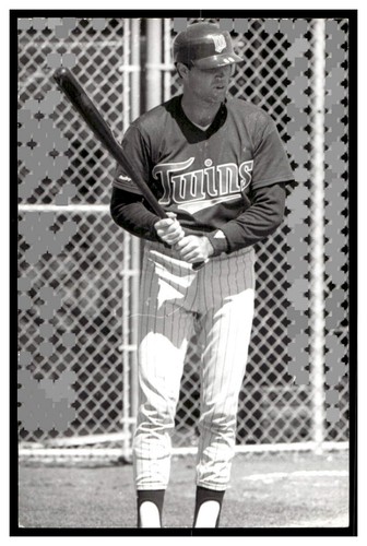 Steve Liddle (1988) Minnesota Twins Vintage Baseball Postcard BL1 | eBay