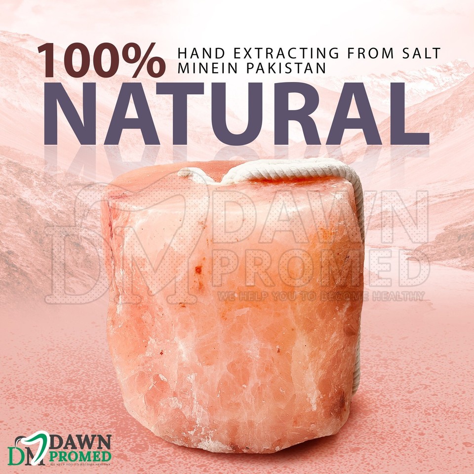 4 Pcs Himalayan Pink Salt 100% Natural Lick Blocks For Animal Wellness ...