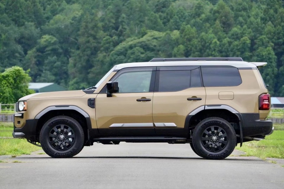 Side Step Nerf Bar Running Board Fit For Land Crusier Prado J250 LC250 ...