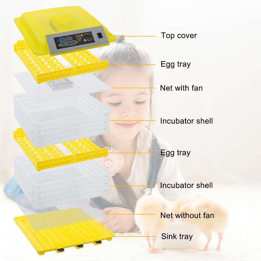 Laboratory Egg Incubator Humidity Control Changes In The Egg Water