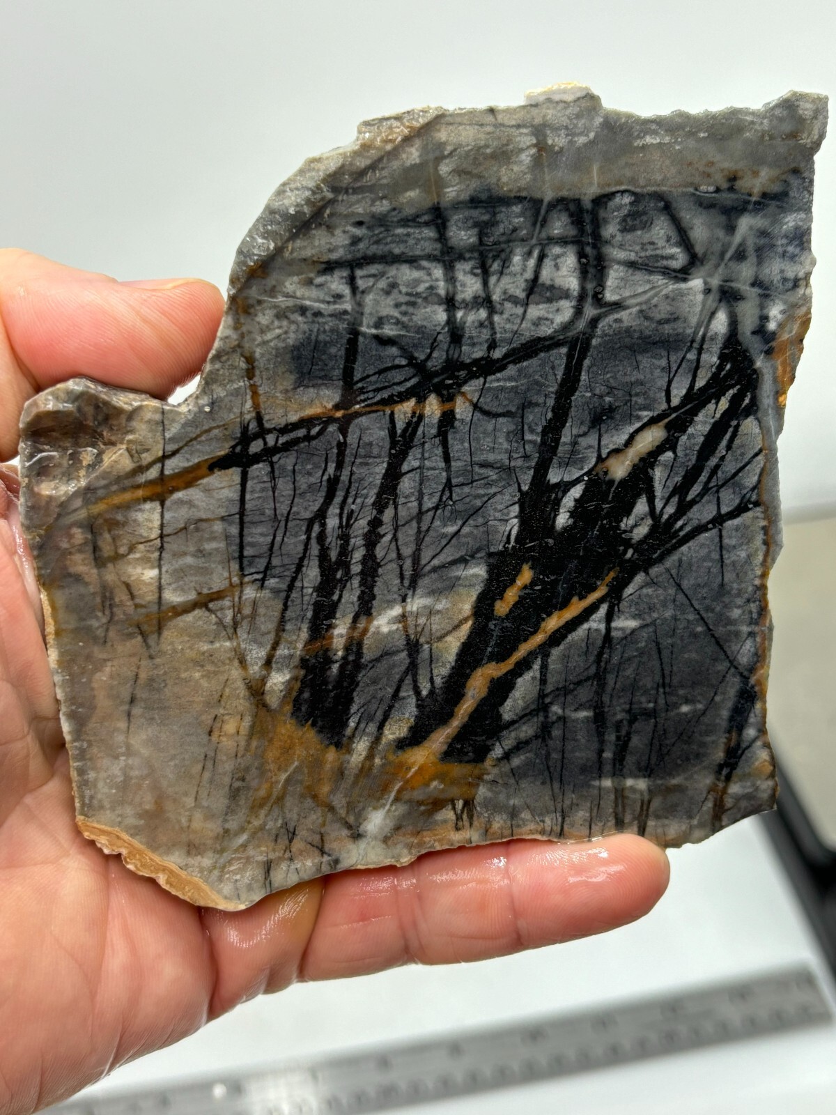 Picasso Marble (Jasper) Slab Cabbing Lapidary Utah Combo Ship Avail | eBay