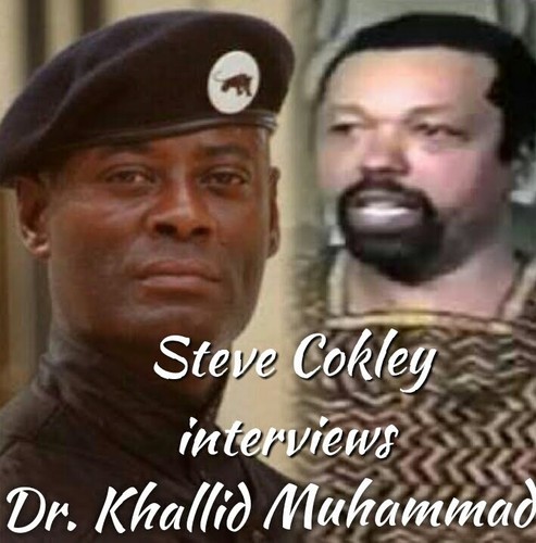 Steve Cokely Interviews Dr Khallid Muhammad (Audio DVD) Black Panthers ...