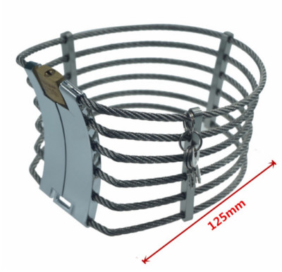 Female Stainless Steel Locking Neck Posture BDSM Bondage Collar | eBay UK