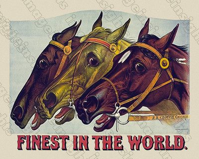 RACING HORSES ca 1890 Lithograph Vintage Advertisement Restoration ...