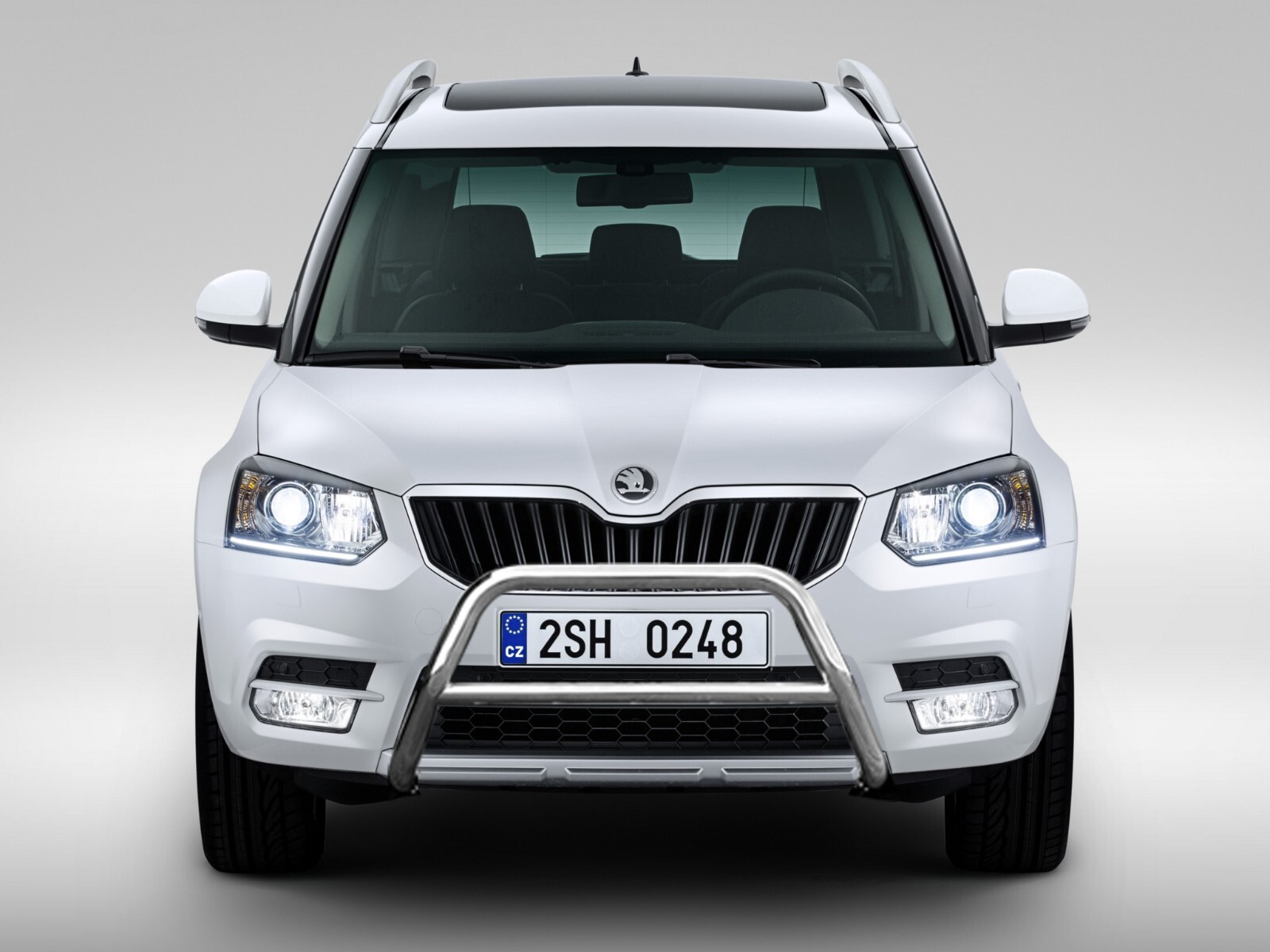 SKODA YETI STAINLESS STEEL CHROME AXLE NUDGE A-BAR BULL BAR 2014 ...