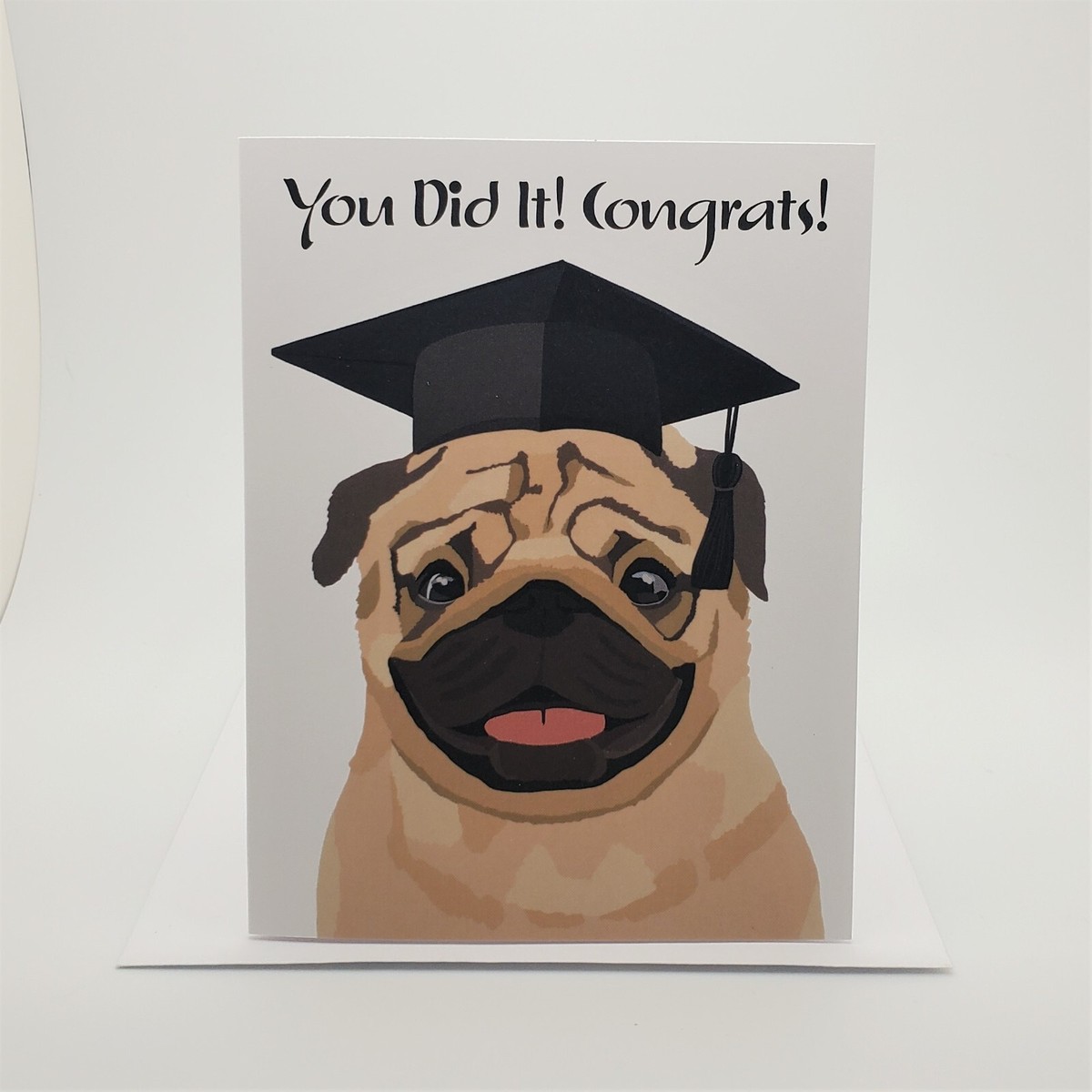Pug Graduation Graduated Pug Dog , Pug Graduated Studio Photo, Light