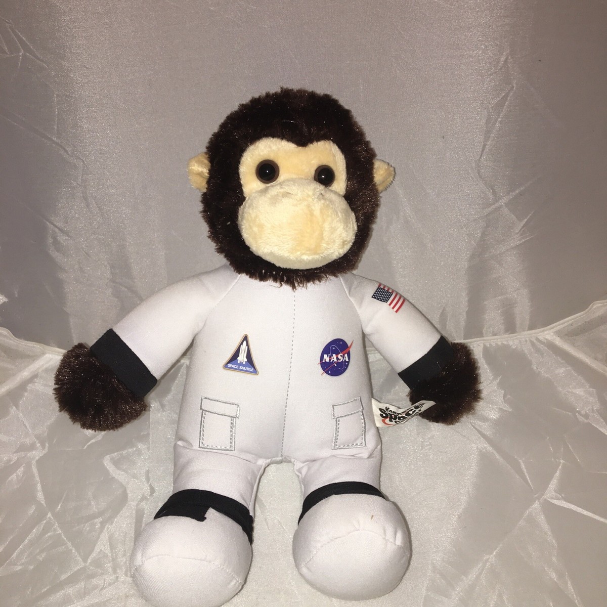 Chimp Astronaut