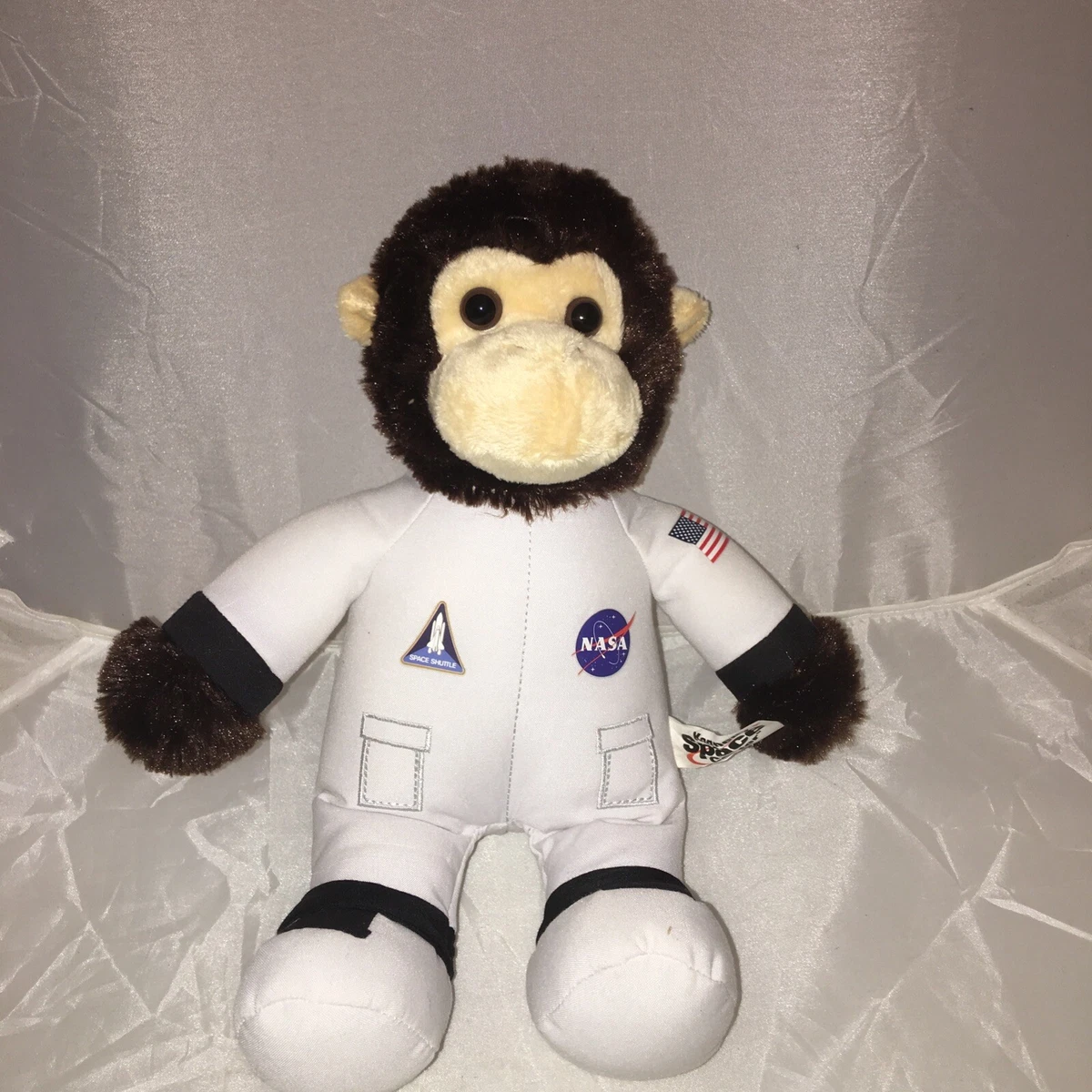 Nasa Chimp