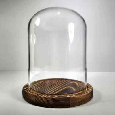 Glass Display Dome, Glass and Wood Cloche, Oddities Display Case | eBay