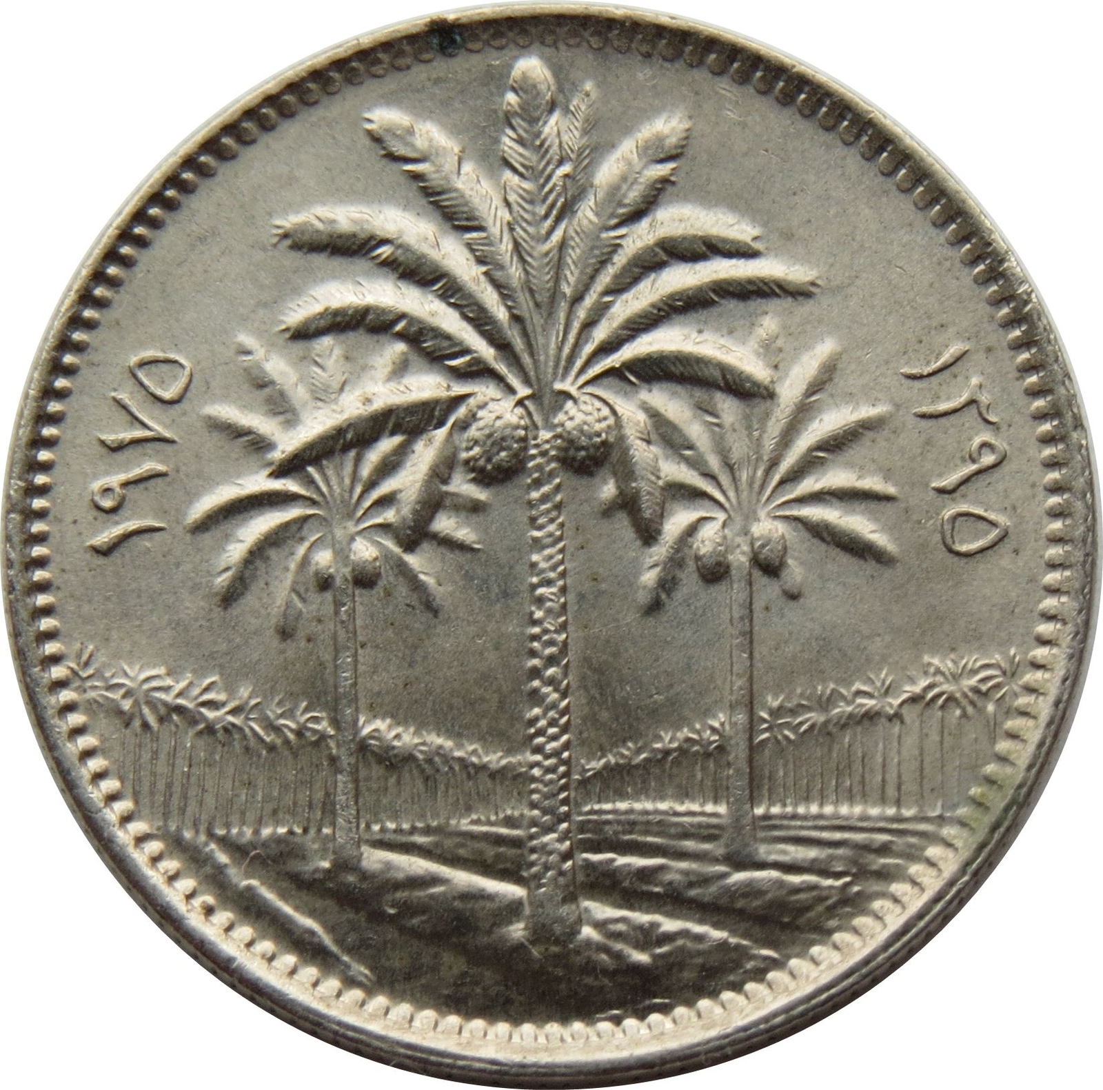 Iraq 25 Fils Coin | Palm Tree | 1969 - 1981 | eBay