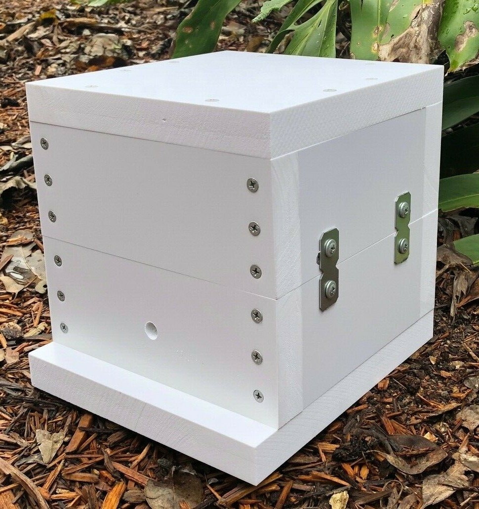 Mini OATH Native Bee Hive | Composite | Basic | Sugarbag | Stingless ...