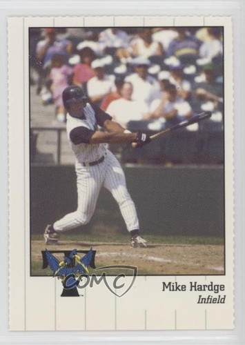 1995 Trenton Thunder Team Issue Mike Hardge #29 | eBay