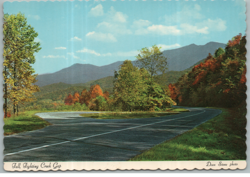 Vintage Postcard Fighting Creek Gap Fall Mount LeConte | eBay