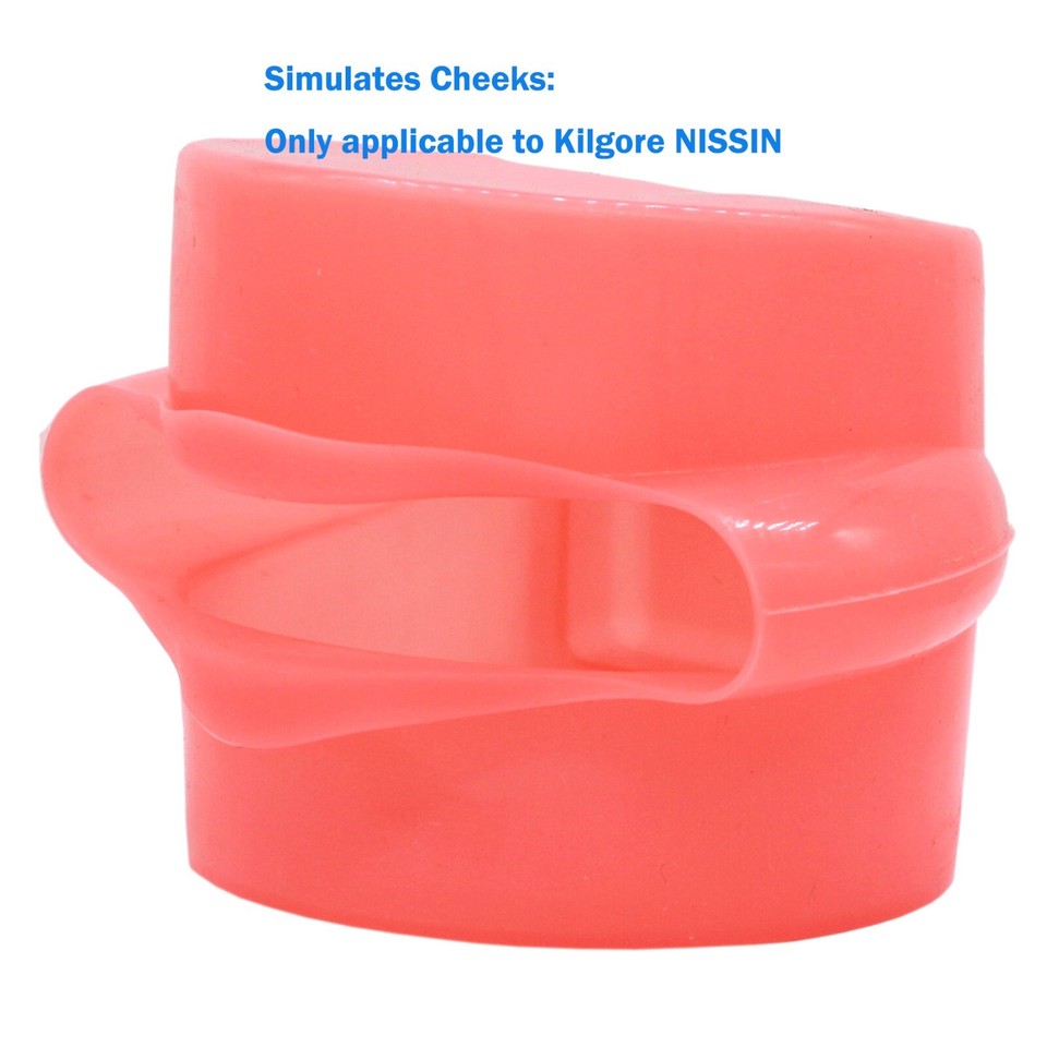 US Dental Typodont Study Detachable Model With Simulated Cheek And ...