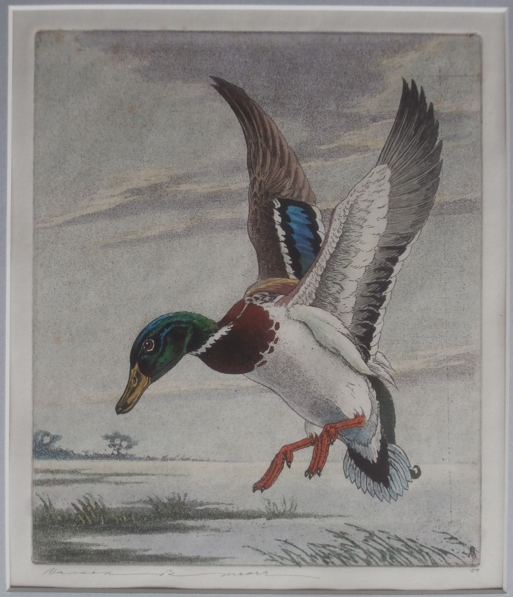 Duck Hunting Drawing