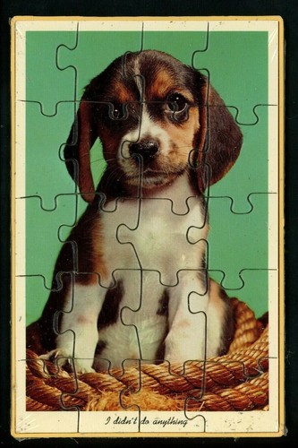 Novelty Mail A Puzzle postcard Dog puppy rope play comic | eBay