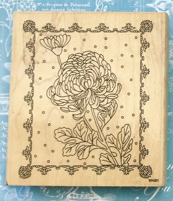 Chrysanthemum Flower by Paper Parachute XL botanical spring bloom ...