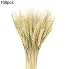 100PCS Artificial Wheat Dried Flowers Realistic Dried Wheat Sheaves FI ...